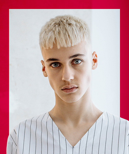 Top 108 + Boxer hair cutting style - polarrunningexpeditions